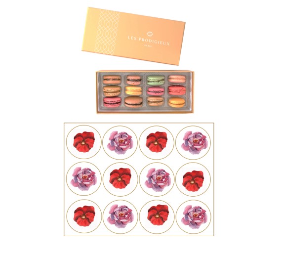 Les Prodigieux | Vos Projets | Coffret Personnalisé | 12 macarons